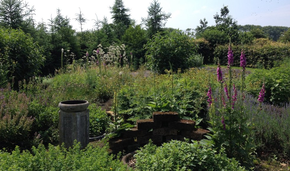 De Glinstertuin | Velt